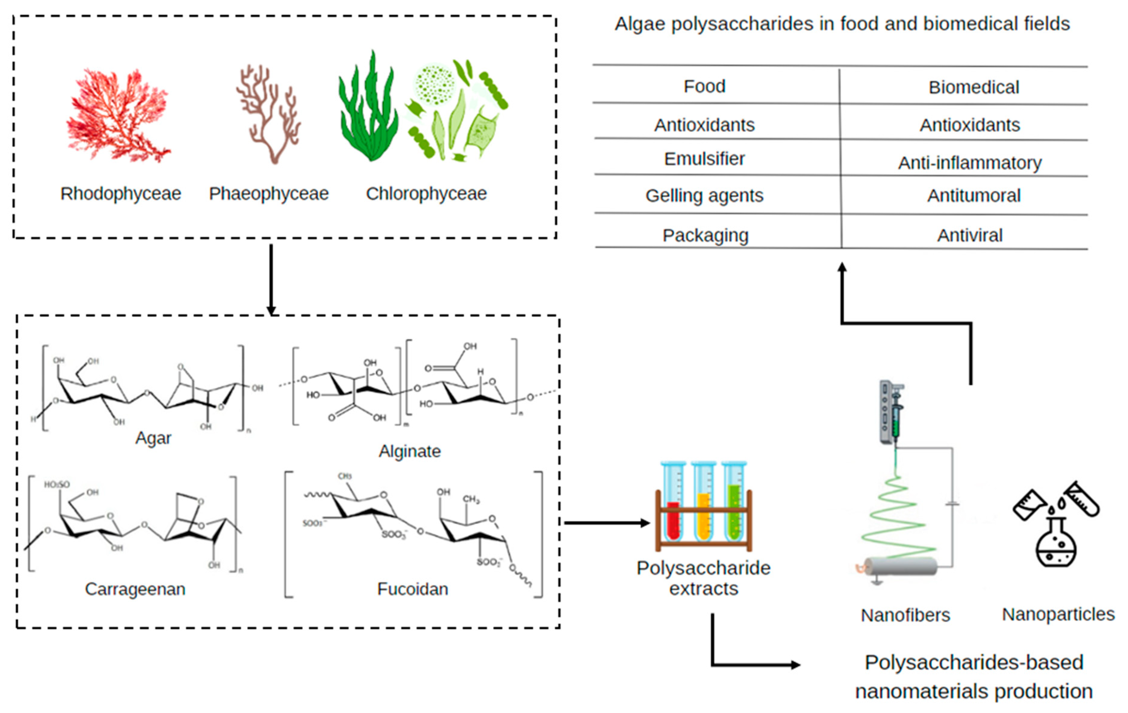 Algal Polysaccharides-Based Nanomaterials: General Aspects and ...