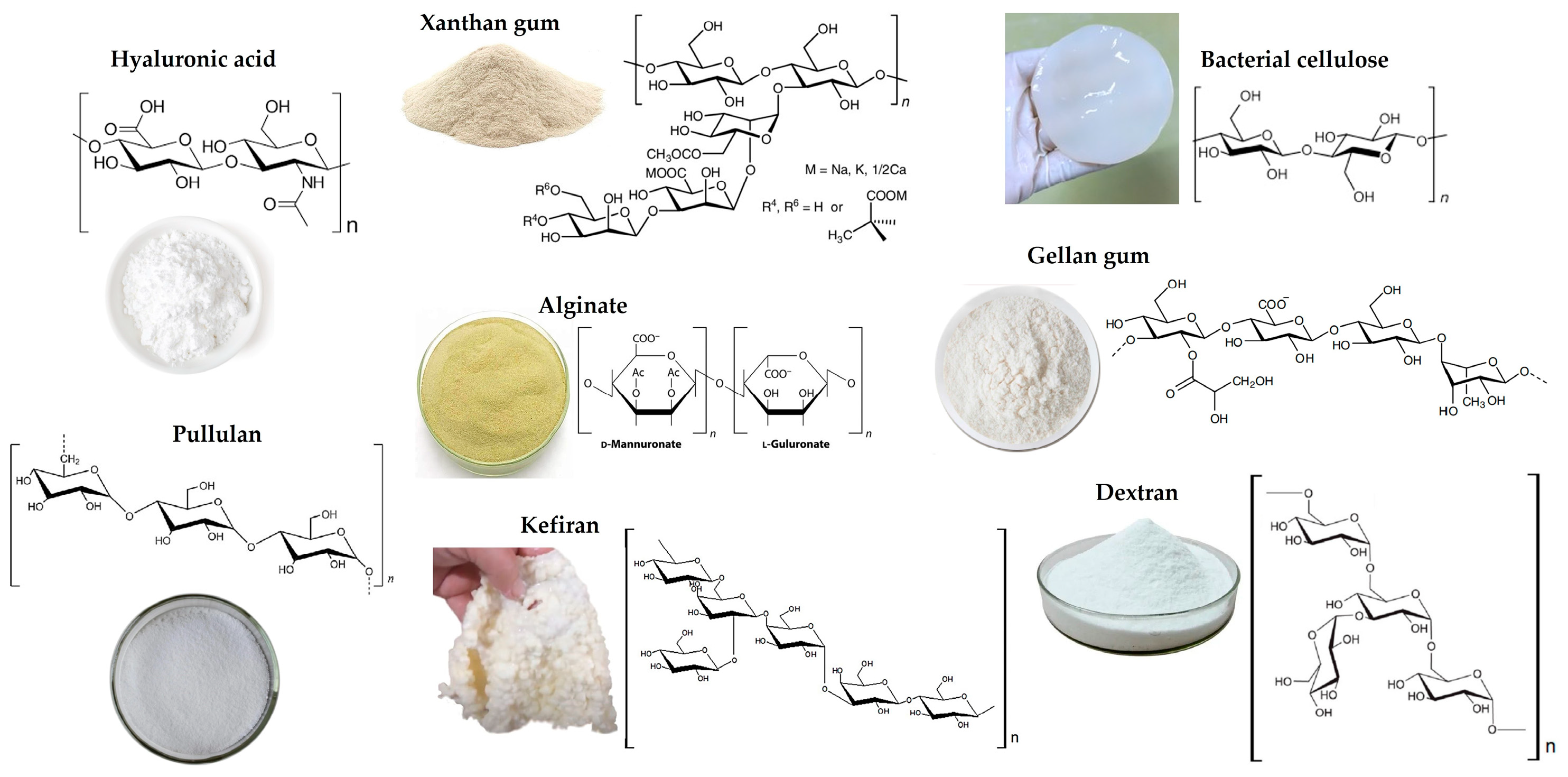 Polysaccharides | Free Full-Text | Microbial Exopolysaccharides ...