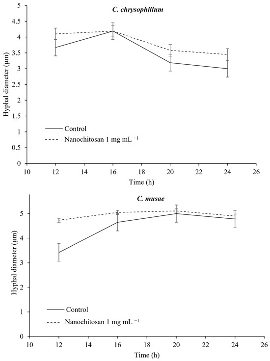 Antifungal Activity of Nanochitosan in Colletotrichum musae and ...