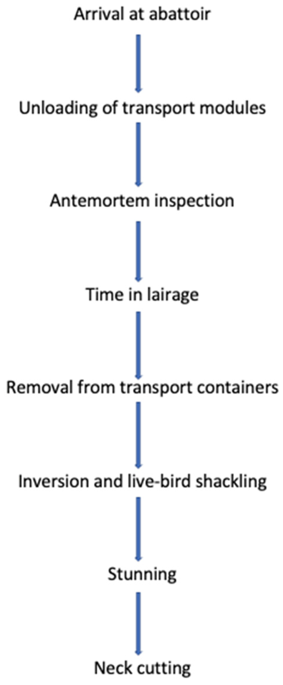 Poultry | Free Full-Text | Poultry Welfare at Slaughter
