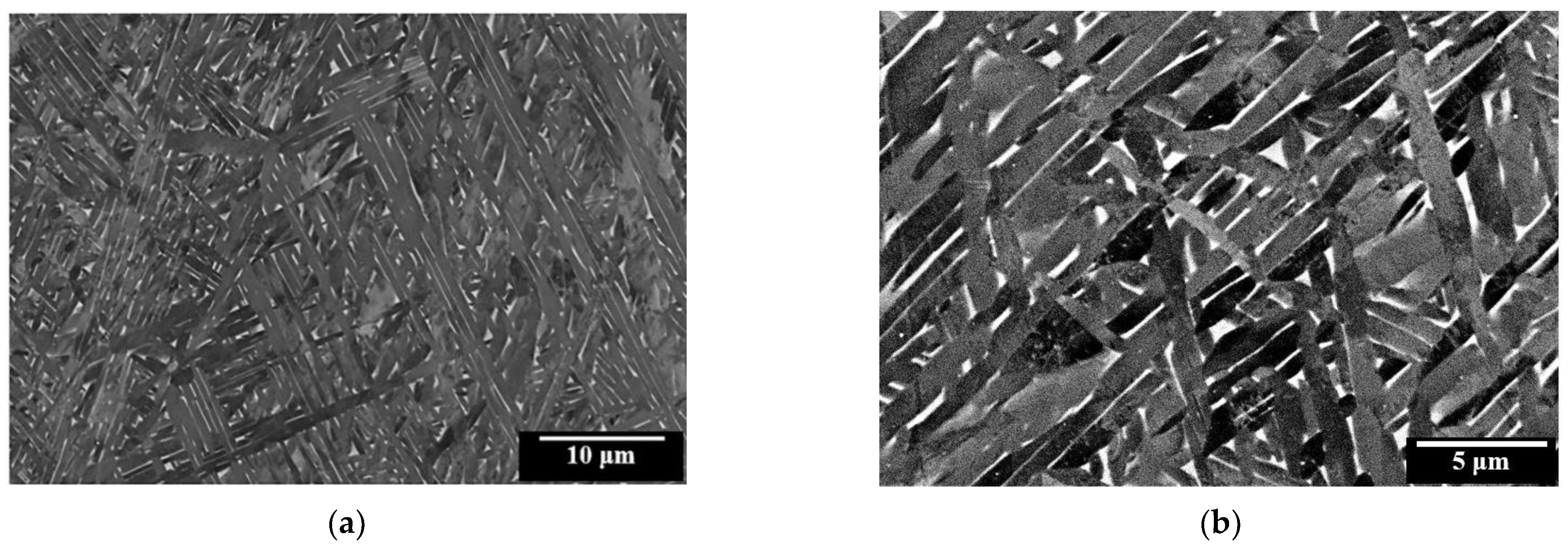 Direct Powder Forging—A New Approach for near Net Shape Processing of ...