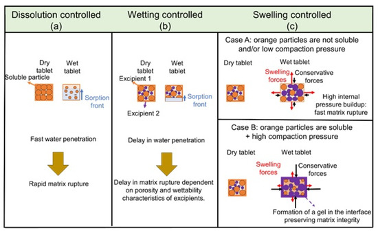 The Significance of Tablet Internal Structure on Disintegration and ...