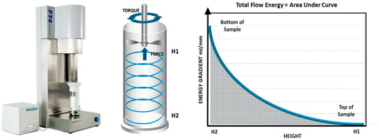Factors Influencing Food Powder Flowability