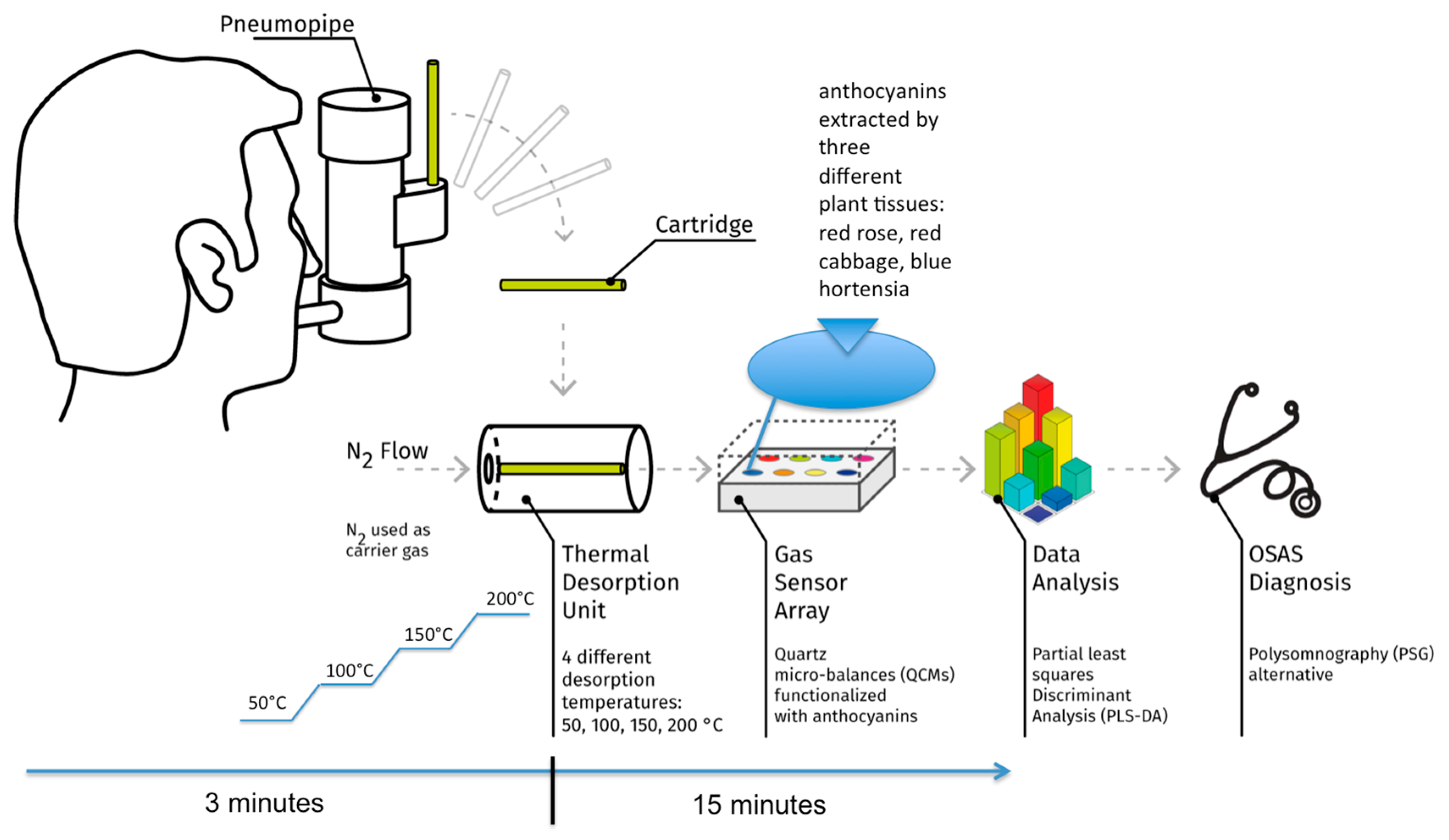A Non Invasive Sensor System for the Screening of Obstructive Sleep ...