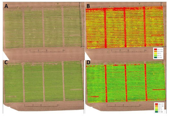 Applying High-Resolution Visible-Channel Aerial Scan of Crop Canopy to ...