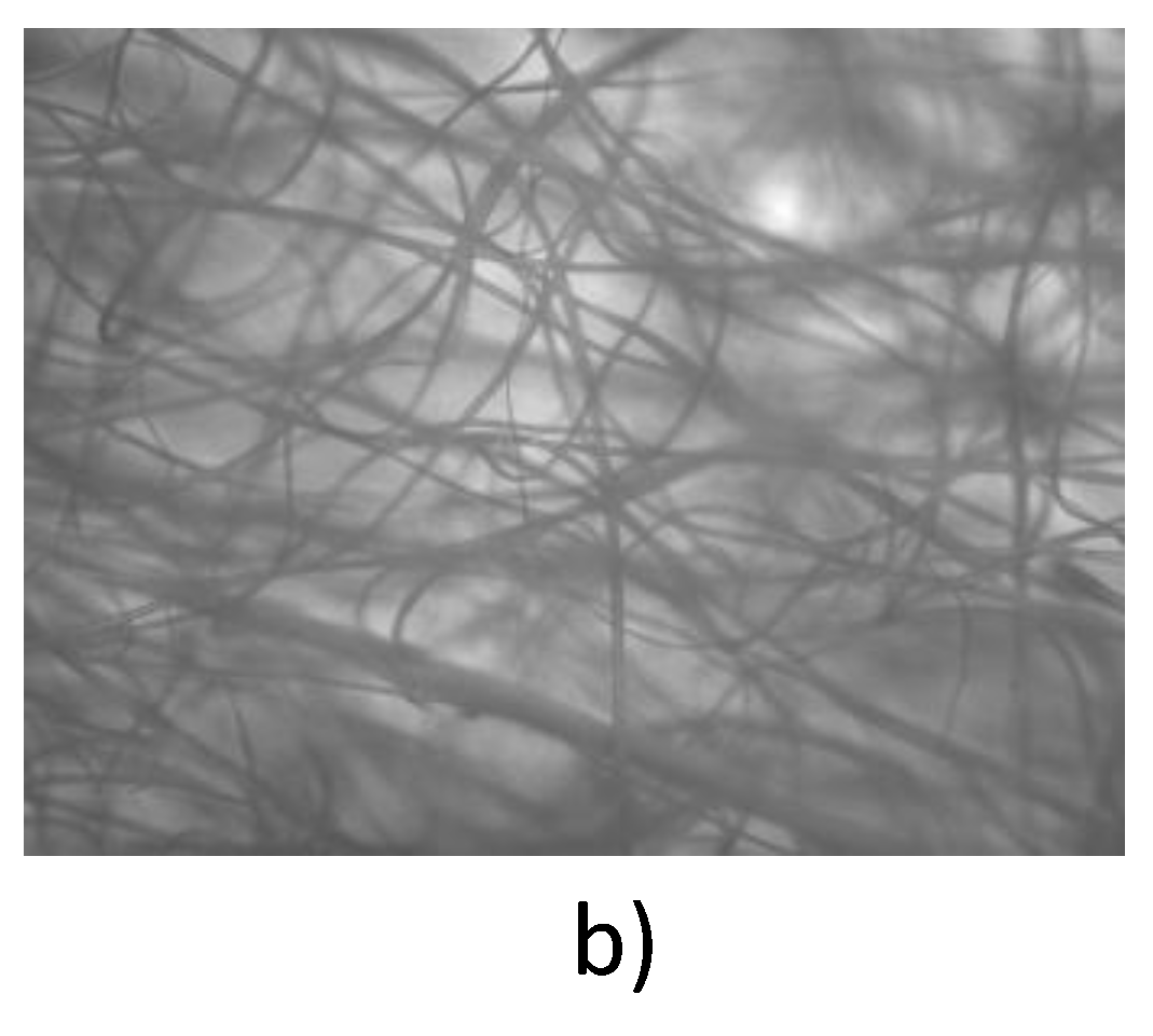 Characterization of Electrospun PVDF Fibres for Sensing and Actuation