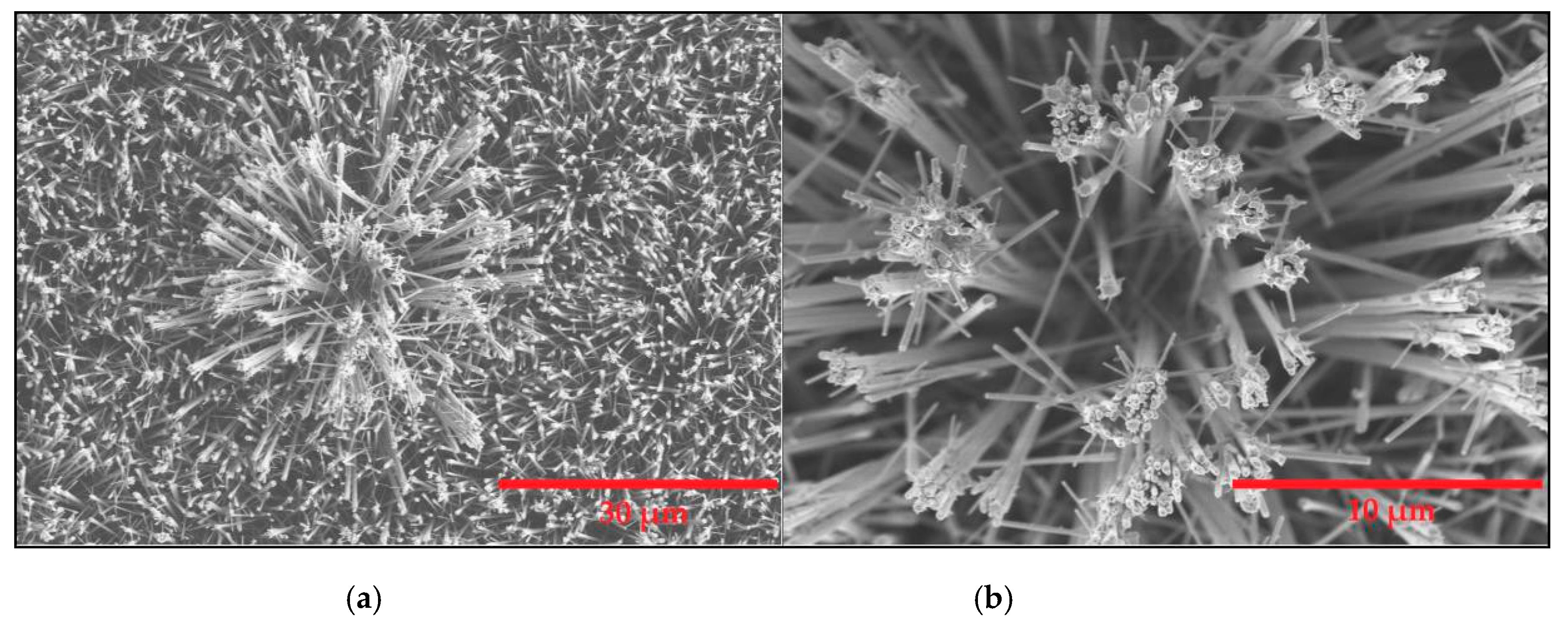 Gas Sensing Properties of WO3 Nanowires Decorated with Iridium Oxide Nanoparticles