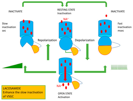 Lacosamide in the Treatment of Trigeminal Neuralgia Refractory to ...