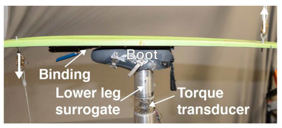 Water Ski Binding Release Characteristics in Forward Lean