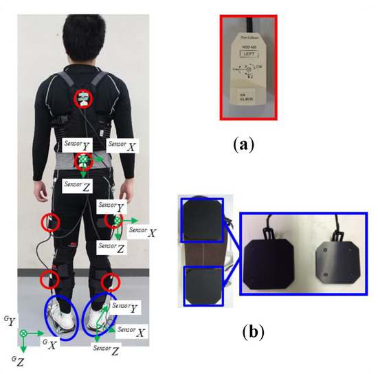 Dynamic Motion Analysis Using a Wearable Sensor System in a ...