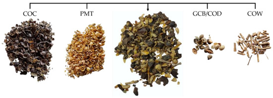 Utilizing the Antioxidant Properties of Coffee By-Products to Stabilize ...