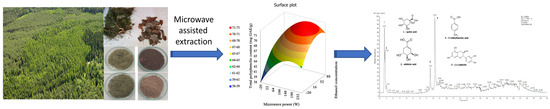 Using Forest Biomass to Contribute to Population Health and Ensuring a ...