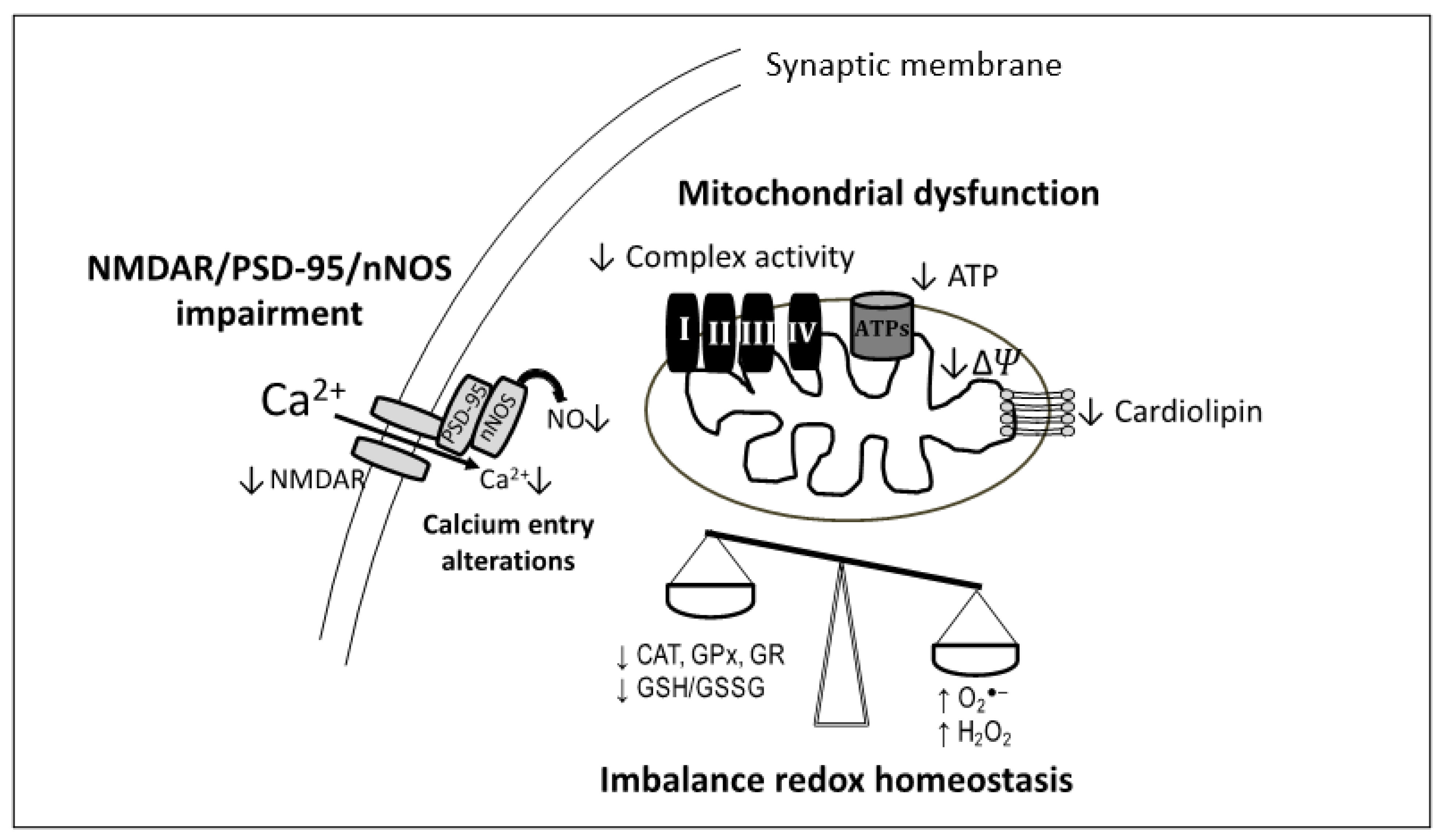 Proceedings of the 12th Alcohol Hangover Research Group Meeting, in ...