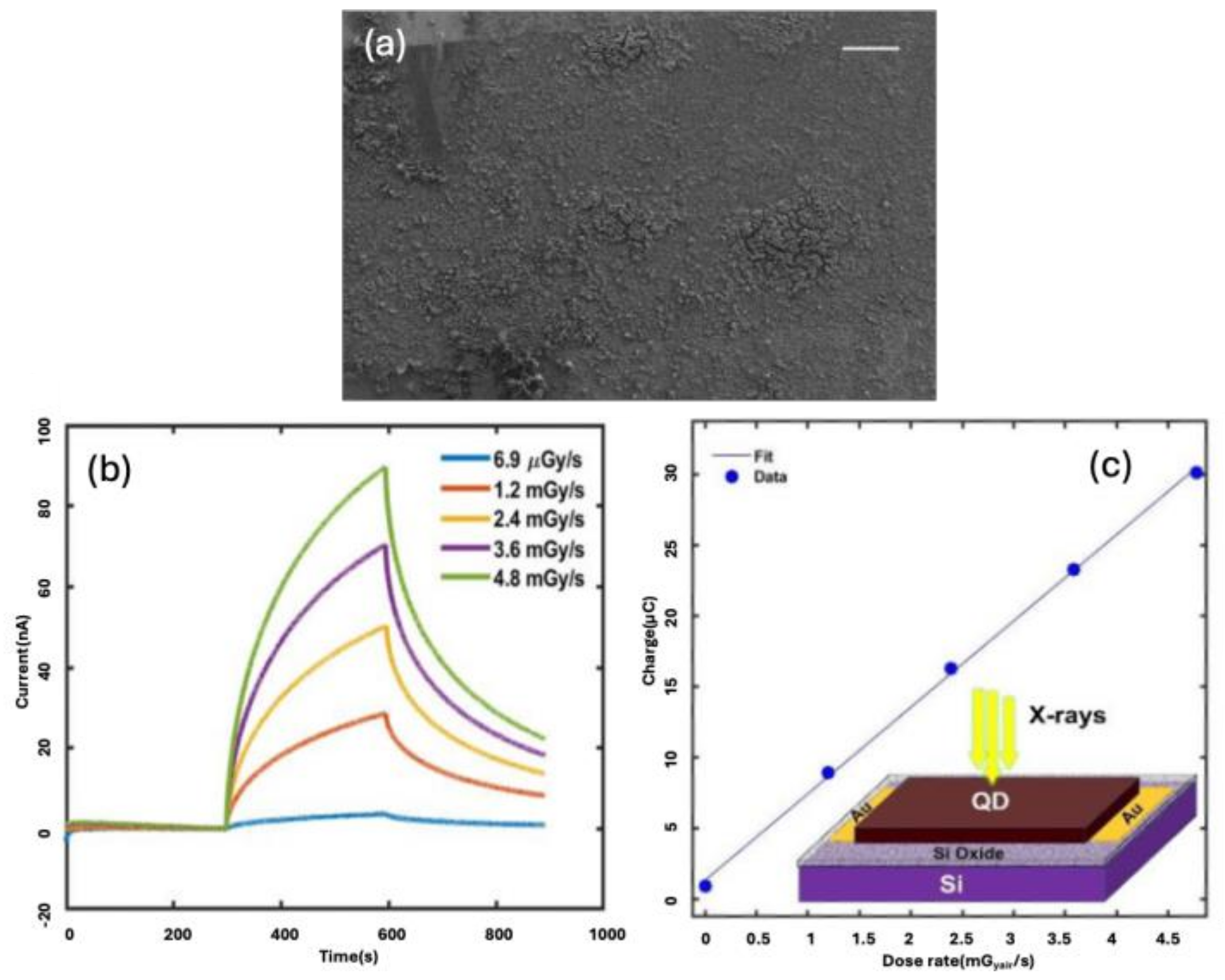 Low-Cost, Low-Footprint X-ray Sensors Based on Colloidal Quantum Dots
