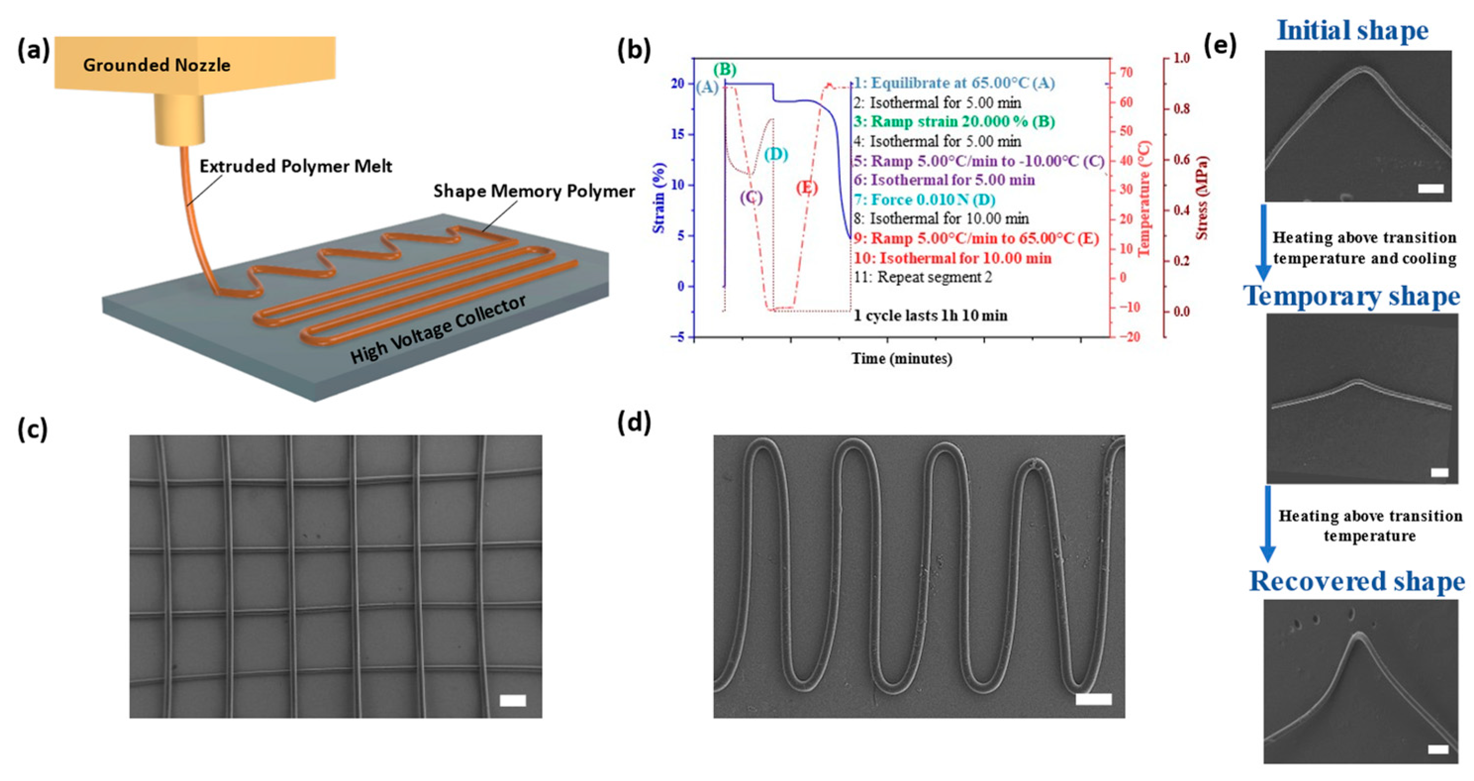 Shape Memory Polymer Microstructures Using Melt Electrowriting