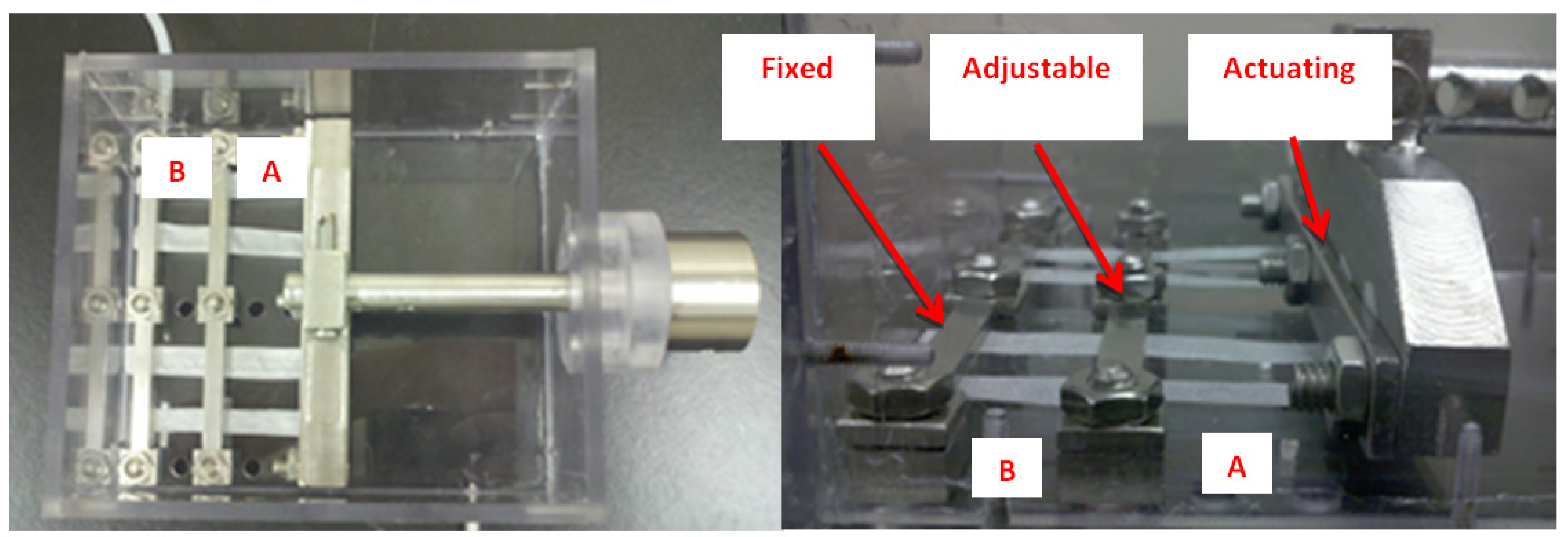 Design and Validation of a Cyclic Strain Bioreactor to Condition ...