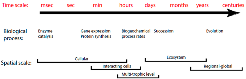 Mathematical Modeling of Microbial Community Dynamics: A Methodological ...