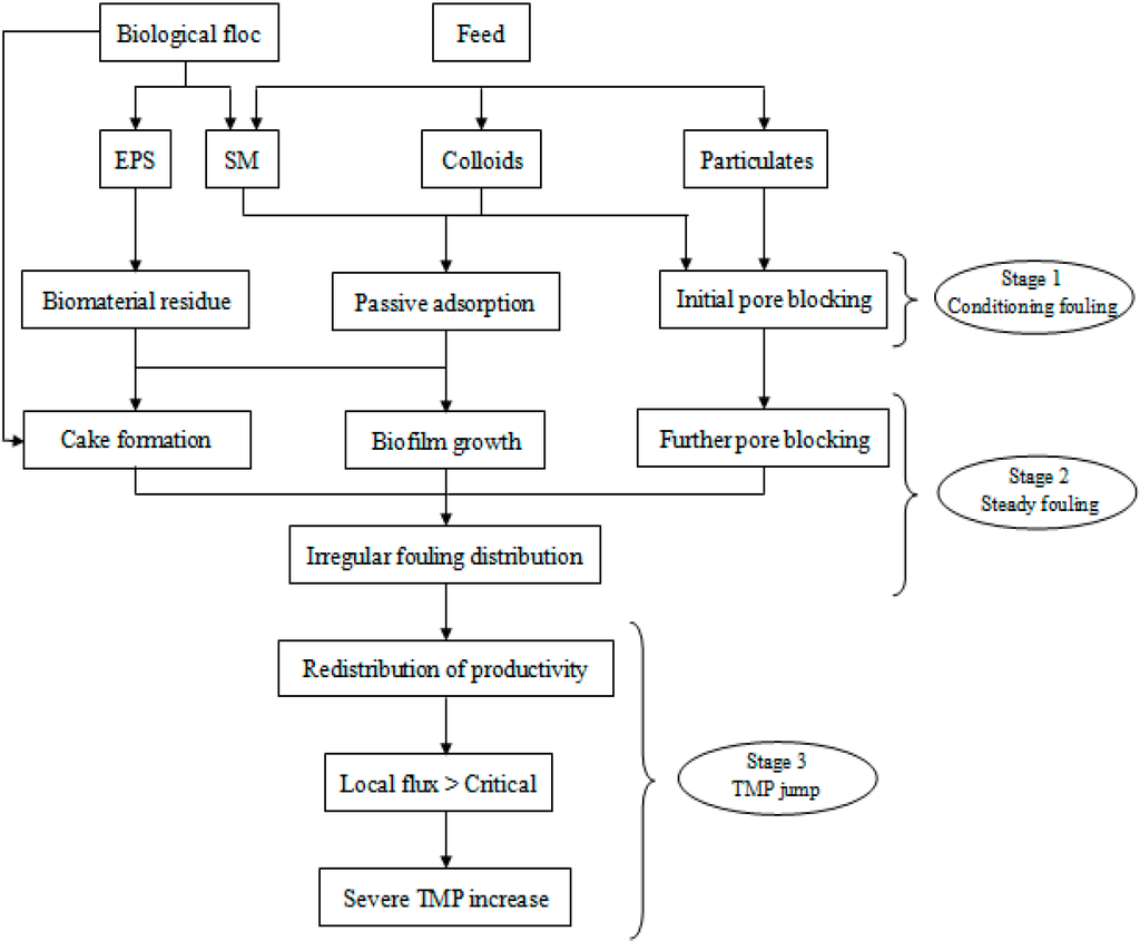 Fouling Issues in Membrane Bioreactors (MBRs) for Wastewater Treatment: Major Mechanisms ...