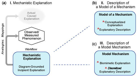Processes | Free Full-Text | The Spectrum of Mechanism-Oriented Models ...