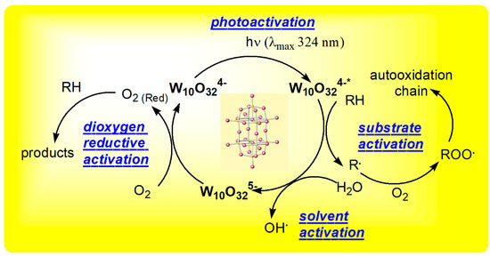 Photocatalytic Membranes in Photocatalytic Membrane Reactors
