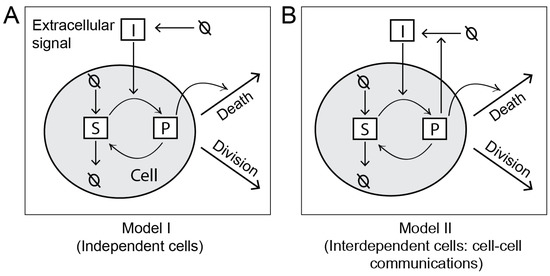 Processes | Free Full-Text | Multicellular Models Bridging ...