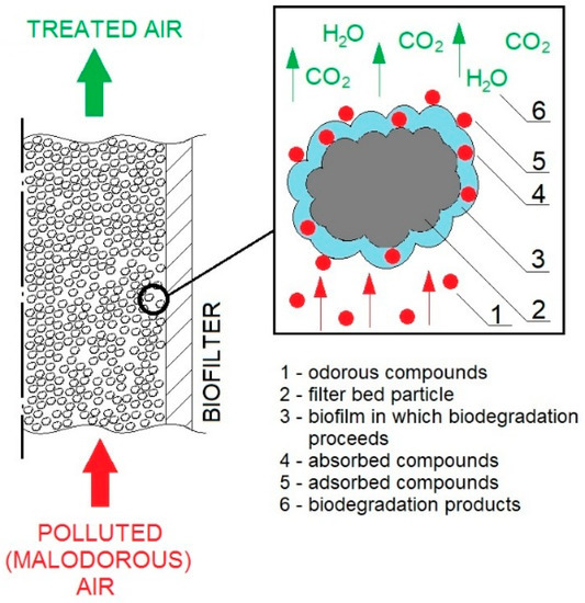 Comparative Evaluation of Selected Biological Methods for the Removal ...