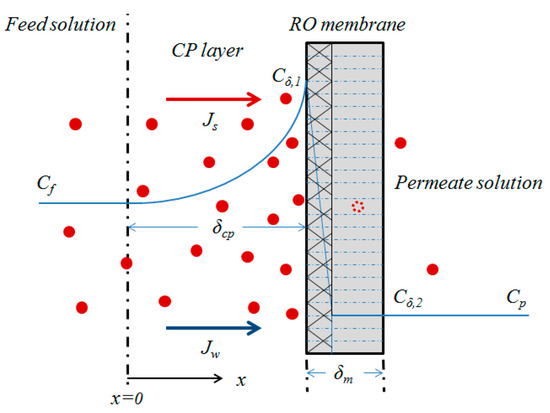 A Mathematical Modeling of the Reverse Osmosis Concentration Process of a Glucose Solution