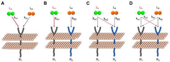 Mapping Tyrosine Kinase Receptor Dimerization to Receptor Expression and Ligand Affinities
