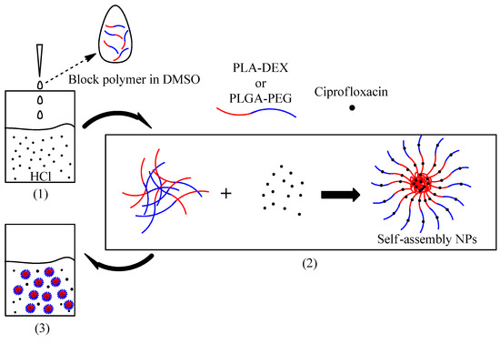 Development of Hydrophilic Drug Encapsulation and Controlled Release ...