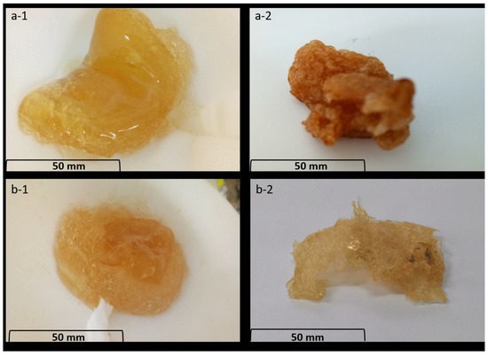 Processes | Free Full-Text | Natural Deep Eutectic Solvent-Assisted ...