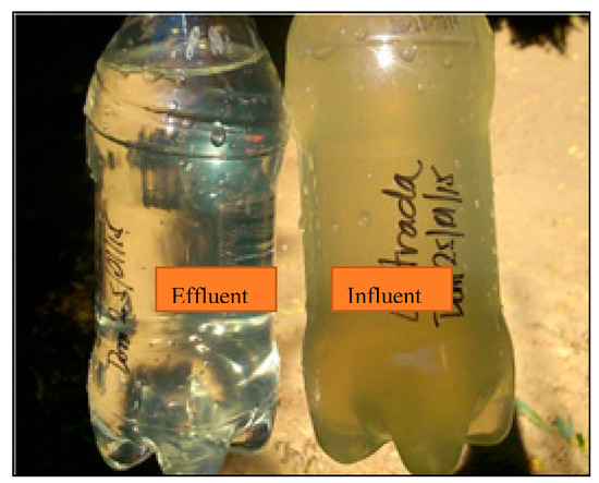 Innovative Effluent Capture and Evacuation Device that Increases COD ...