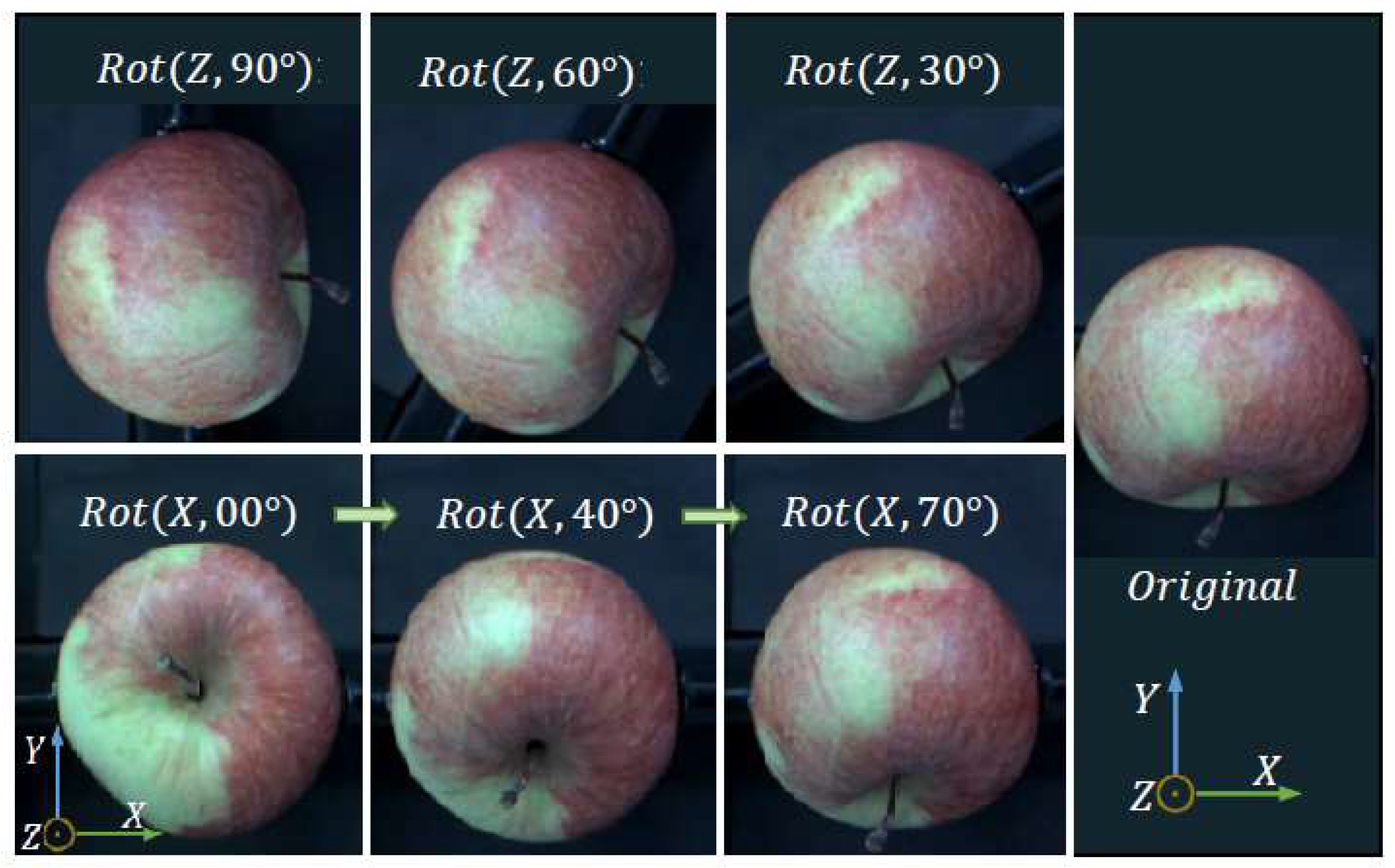 Deep Learning-Based Pose Estimation of Apples for Inspection in ...