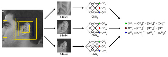Ear Detection and Localization with Convolutional Neural Networks in Natural Images and Videos