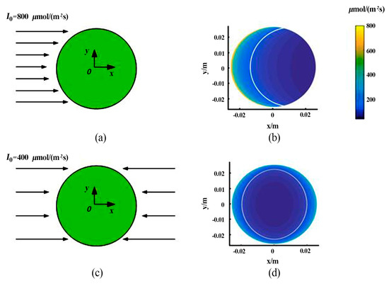 Optimization of Tubular Microalgal Photobioreactors with Spiral Ribs ...