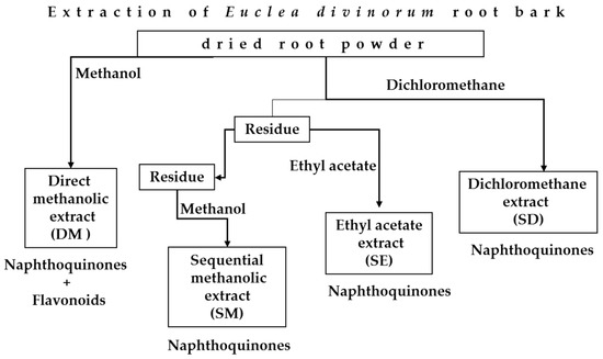 Antifungal Activity of Euclea divinorum Root and Study of its ...