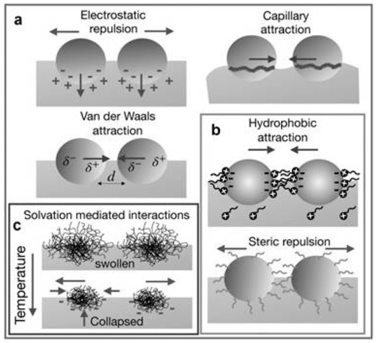 Colloids at Fluid Interfaces