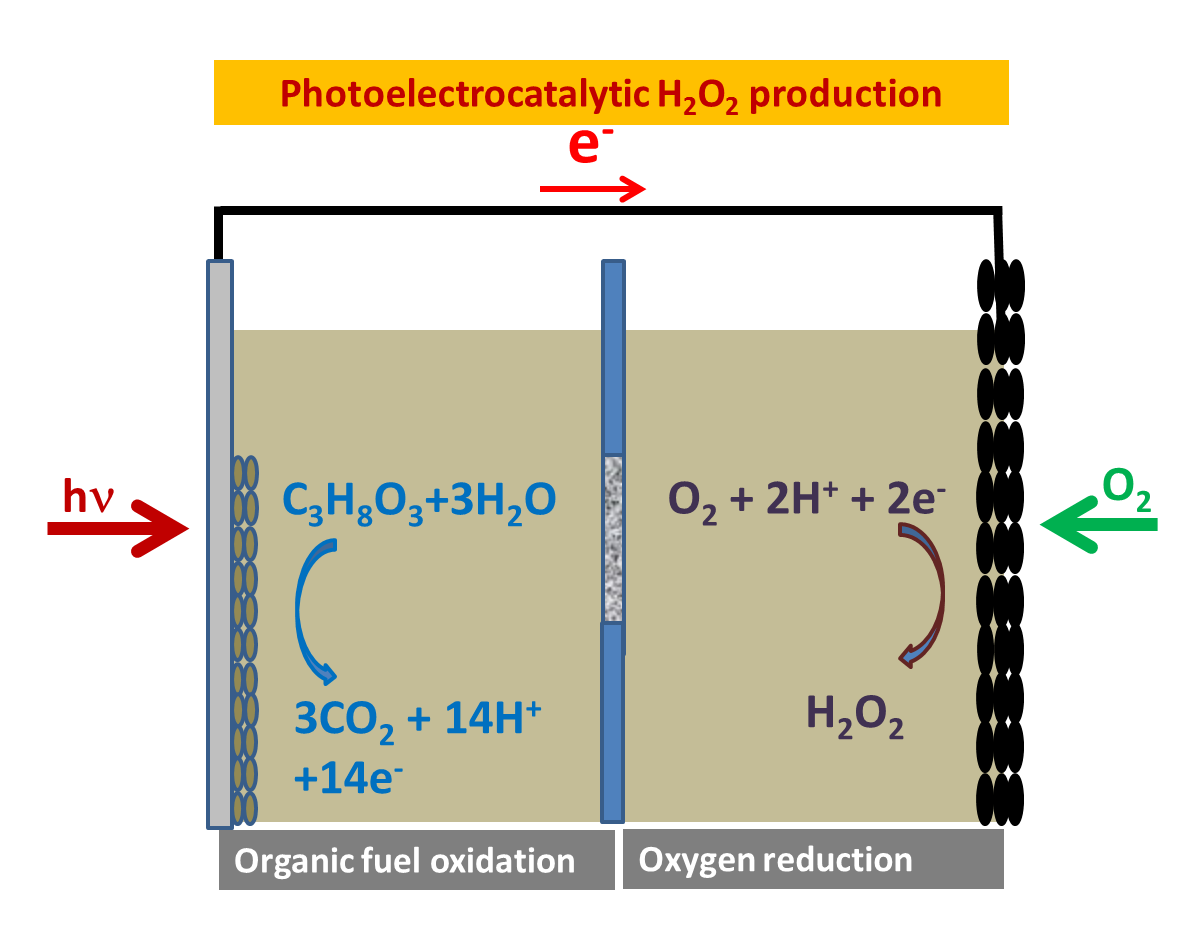 Processes | Free Full-Text | Photoelectrocatalytic Hydrogen Peroxide ...