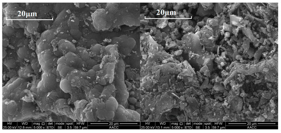 Improved Removal of Quinoline from Wastewater Using Coke Powder with ...