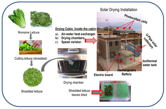 Processes | Free Full-Text | Effect of Drying on Lettuce Leaves Using ...