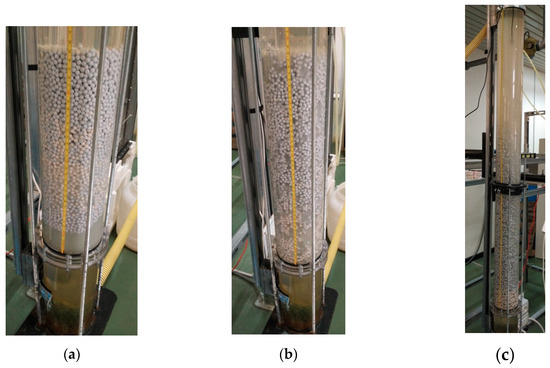 Processes | Special Issue : Recent Advances in Fluidized Bed ...