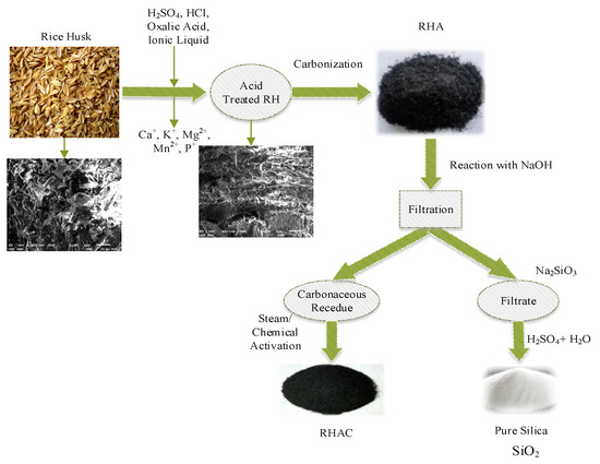 The Potentiality of Rice Husk-Derived Activated Carbon: From Synthesis to Application