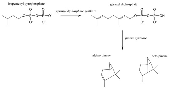 Processes | Free Full-Text | The Potential Production of the Bioactive ...