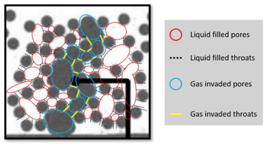 Steady-State Water Drainage by Oxygen in Anodic Porous Transport Layer ...