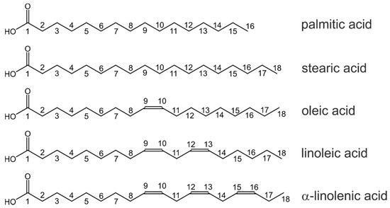 NMR Determination of Free Fatty Acids in Vegetable Oils