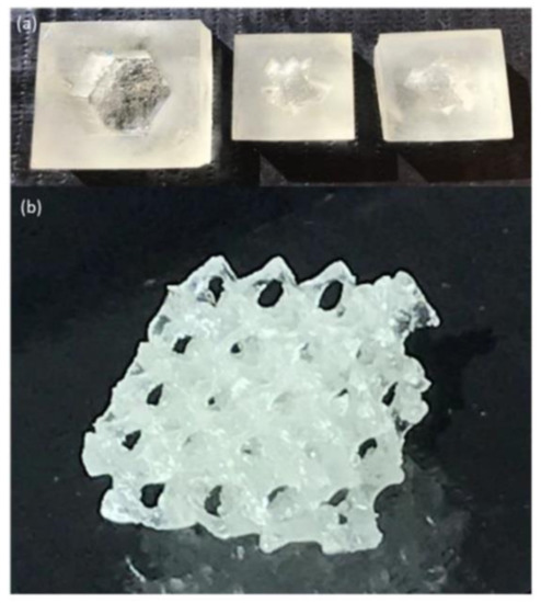 Terpene Based Elastomers: Synthesis, Properties, and Applications