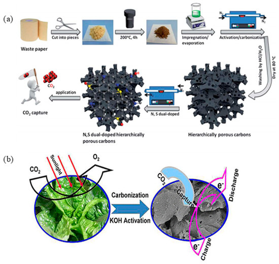 Efficacies of Carbon-Based Adsorbents for Carbon Dioxide Capture