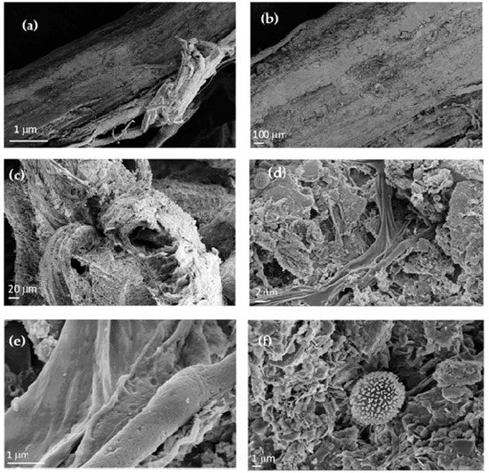 Characterization of Licorice Root Waste for Prospective Use as Filler ...