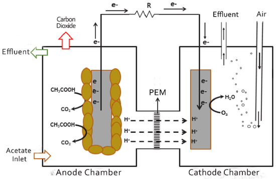 Single- and Multi-Objective Optimization of a Dual-Chamber Microbial ...