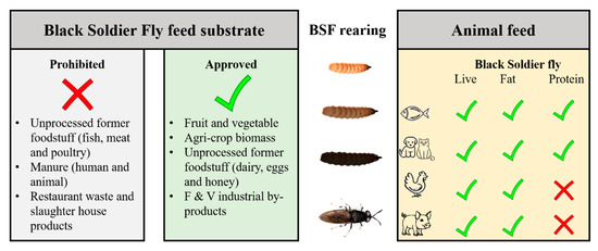 Larvae Mediated Valorization of Industrial, Agriculture and Food Wastes ...
