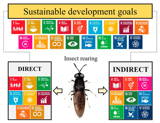 Larvae Mediated Valorization of Industrial, Agriculture and Food Wastes ...